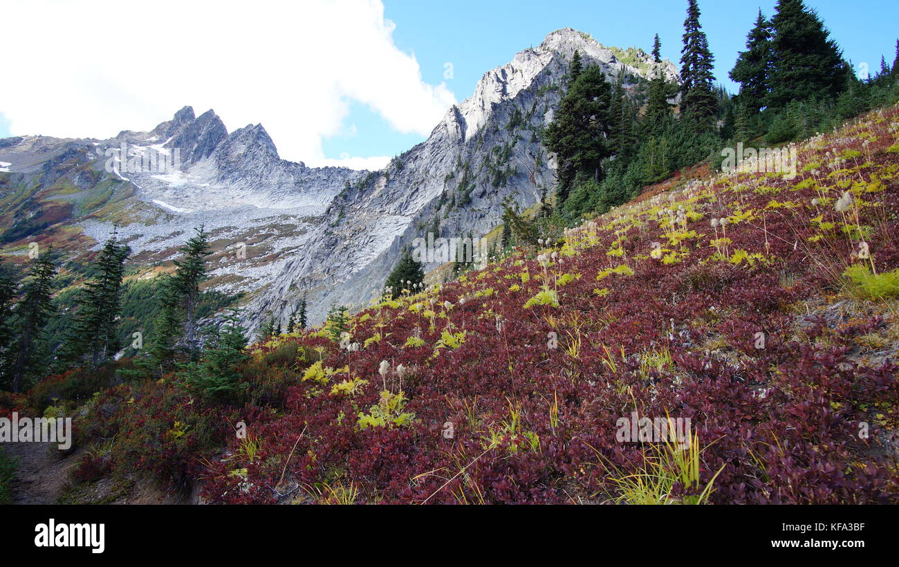 Exploring Washington State, The Great Pacific Northwest Stock Photo - Alamy