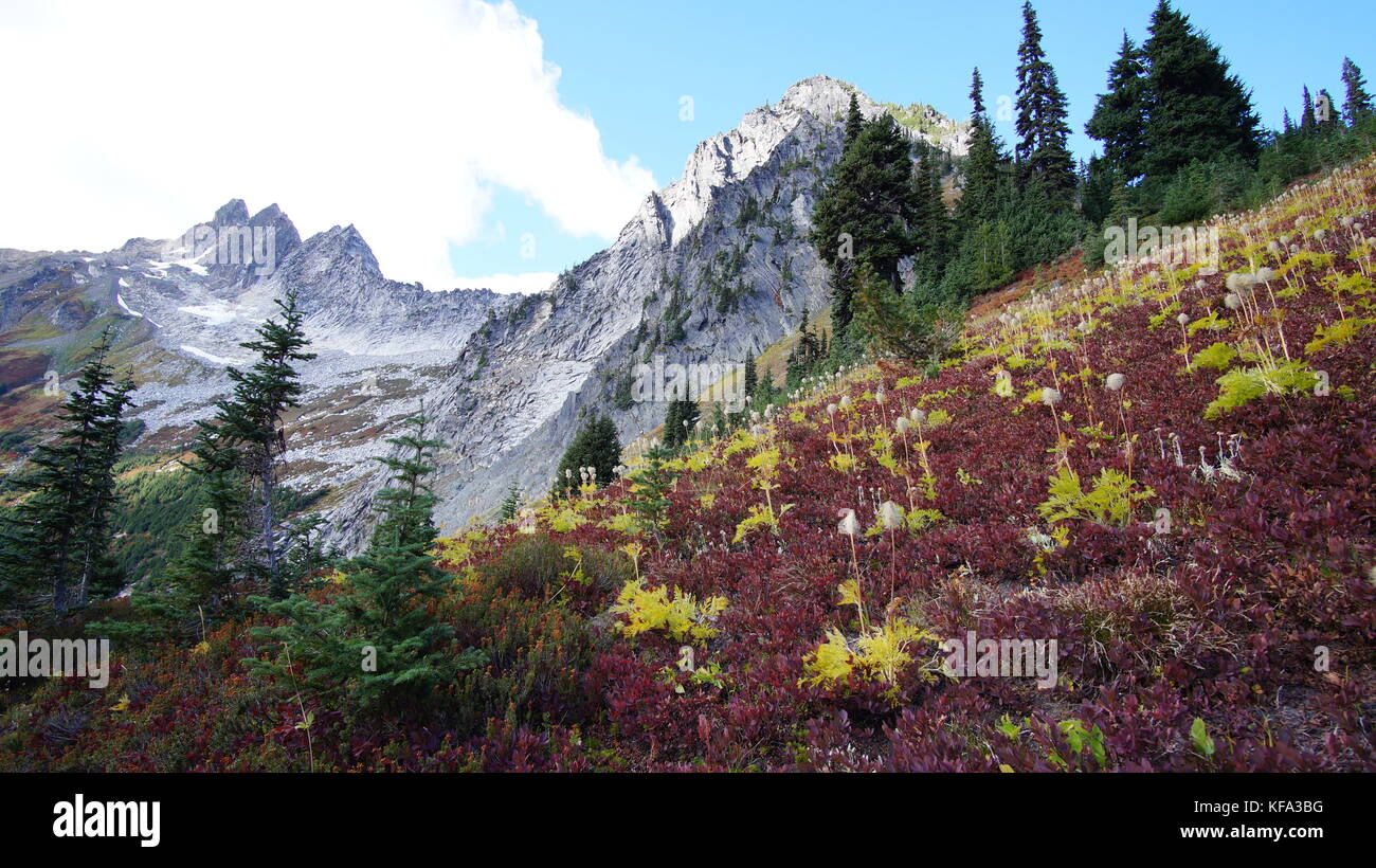 Exploring Washington State, The Great Pacific Northwest Stock Photo - Alamy
