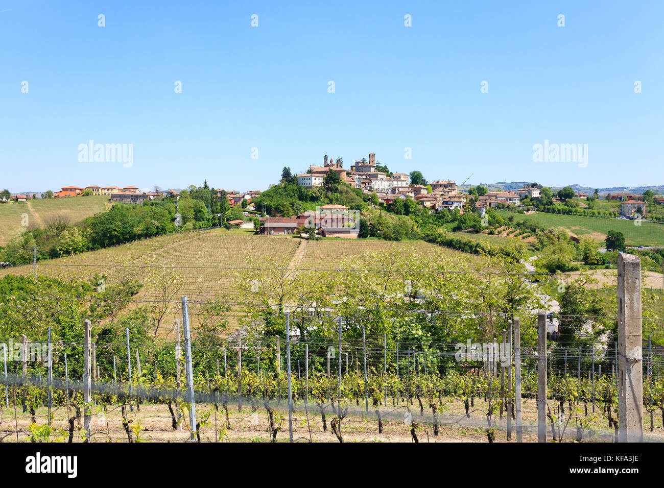 Beautiful Italian landscape. Vineyards from Langhe region,Italy ...