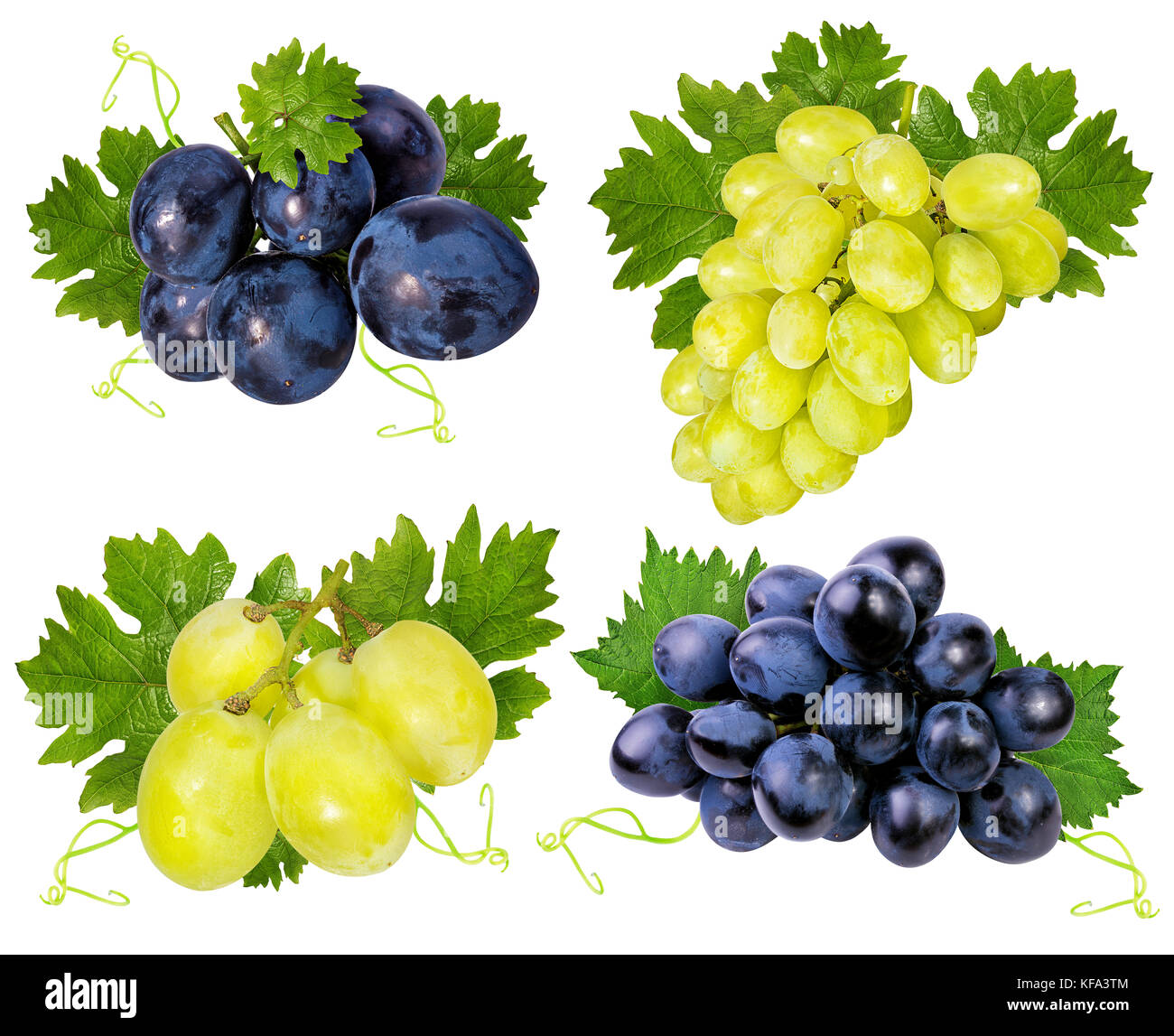Fresh grapes isolated on white background Stock Photo - Alamy