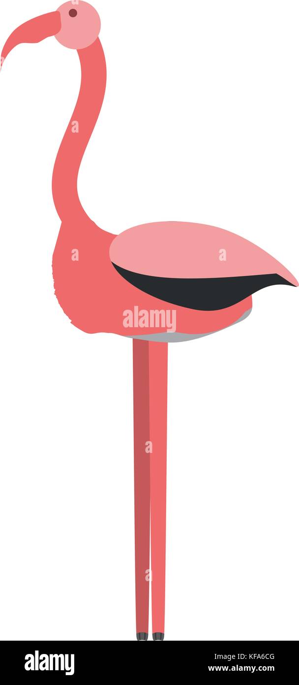 flamingo icon over white background vector illustration Stock Vector ...