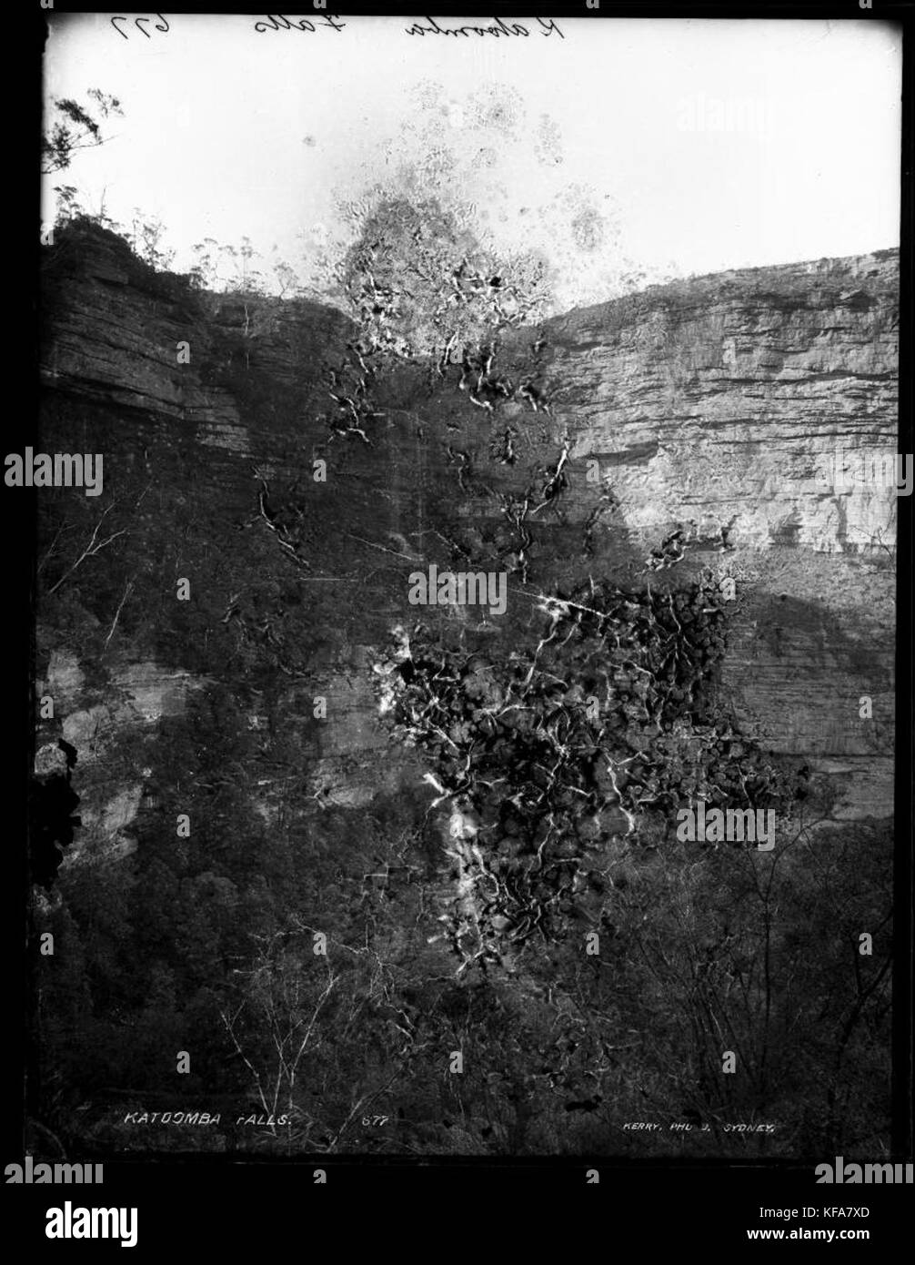 Katoomba falls reserve hi-res stock photography and images - Alamy