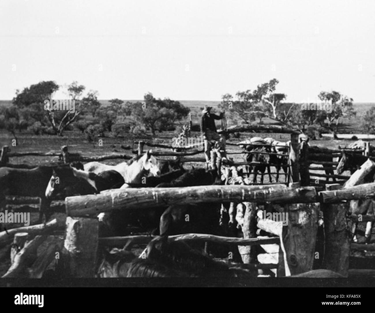 Macumba stock pens Stock Photo - Alamy