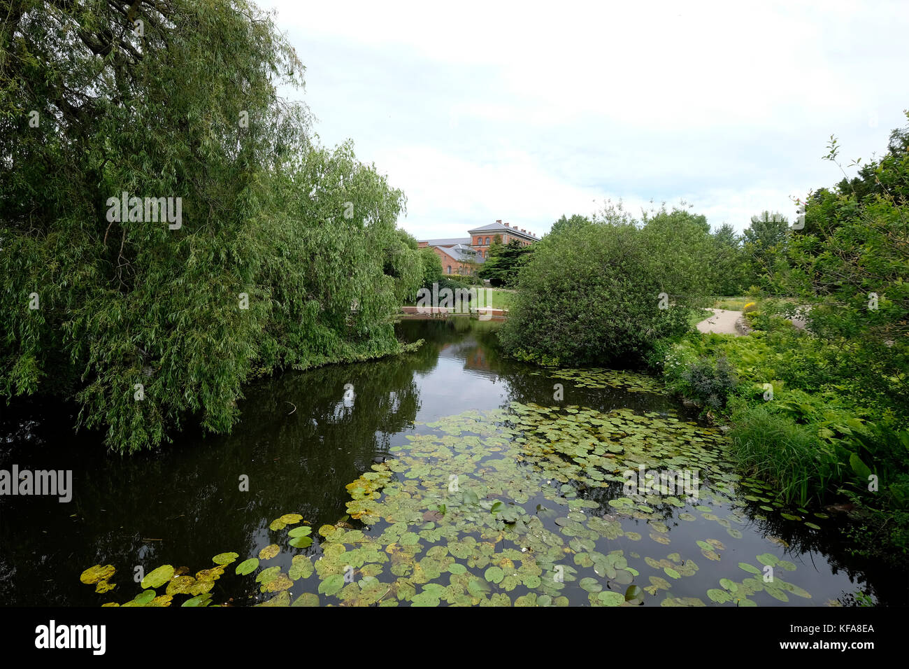 Denmark, Copenhagen, Botanical garden Stock Photo - Alamy