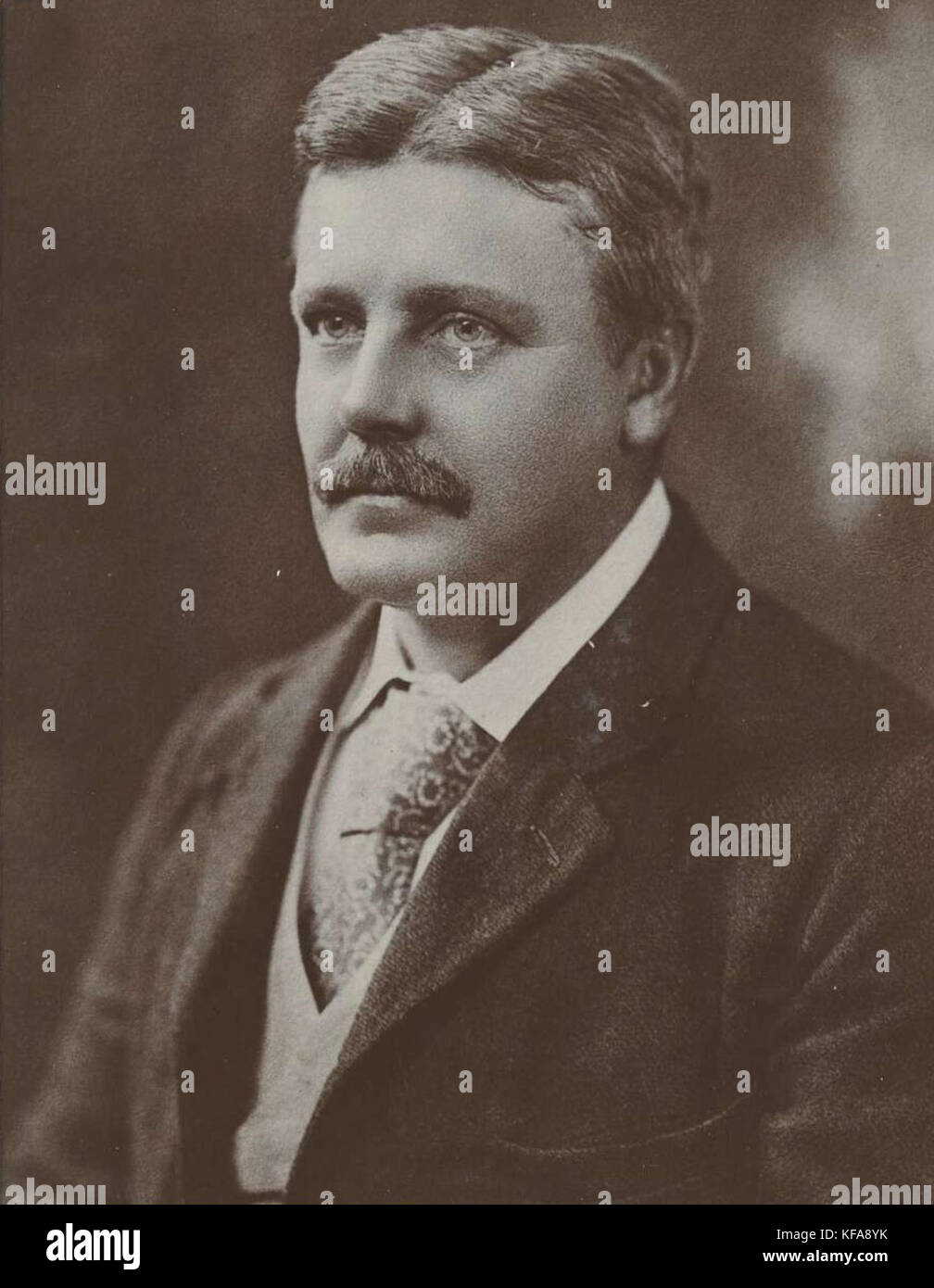 Wise image hi-res stock photography and images - Alamy