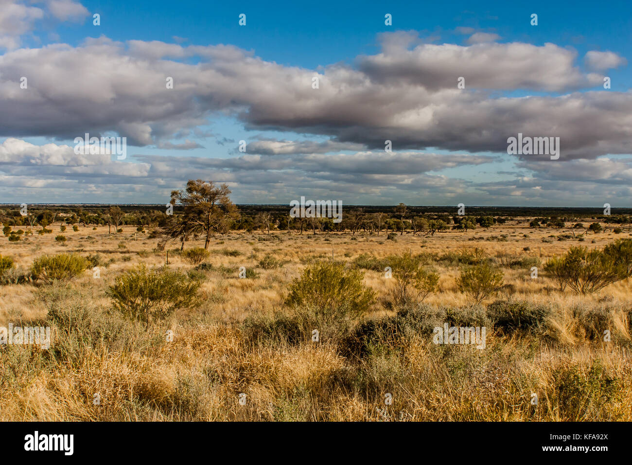 A scenic view of the Australian outback, South Australia Stock Photo ...