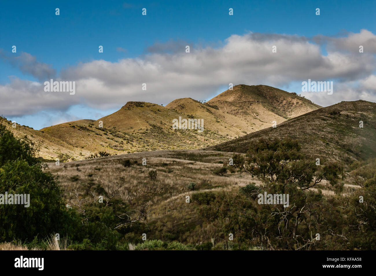 Mountain slopes and vegetation hi-res stock photography and images - Alamy