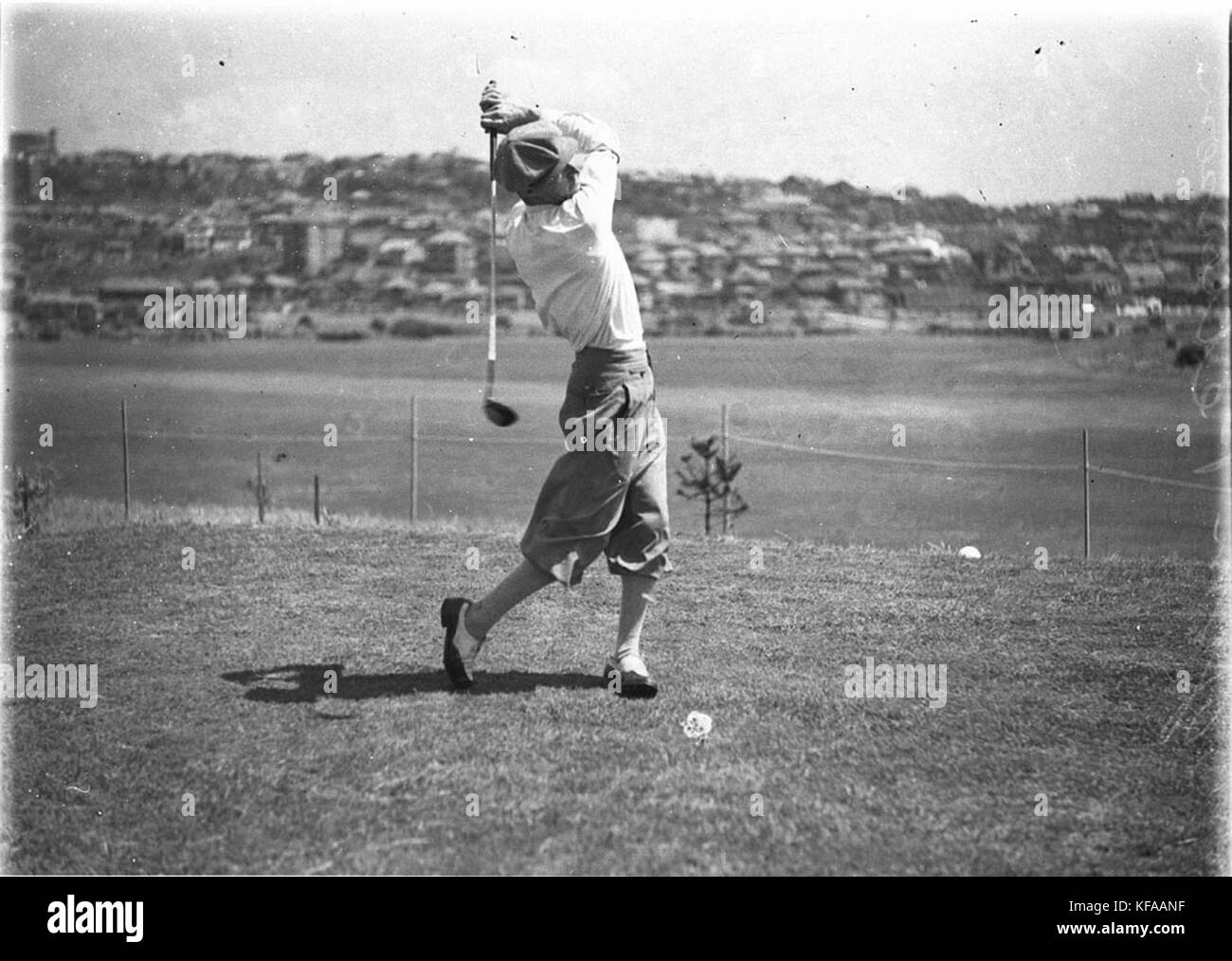 50922 Jim Petterson Stock Photo - Alamy