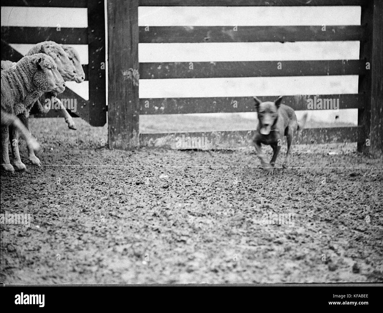 Rural life improvement Black and White Stock Photos & Images - Alamy