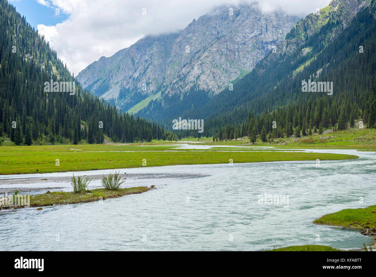 Stunning landscape of forest and river in Karakol national park ...