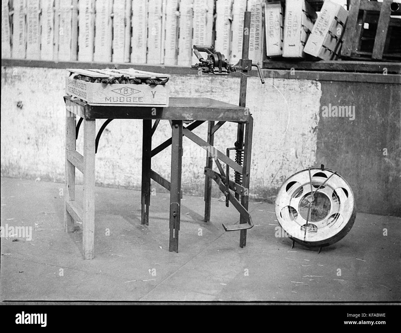 132196 In a rabbit factory Stock Photo - Alamy