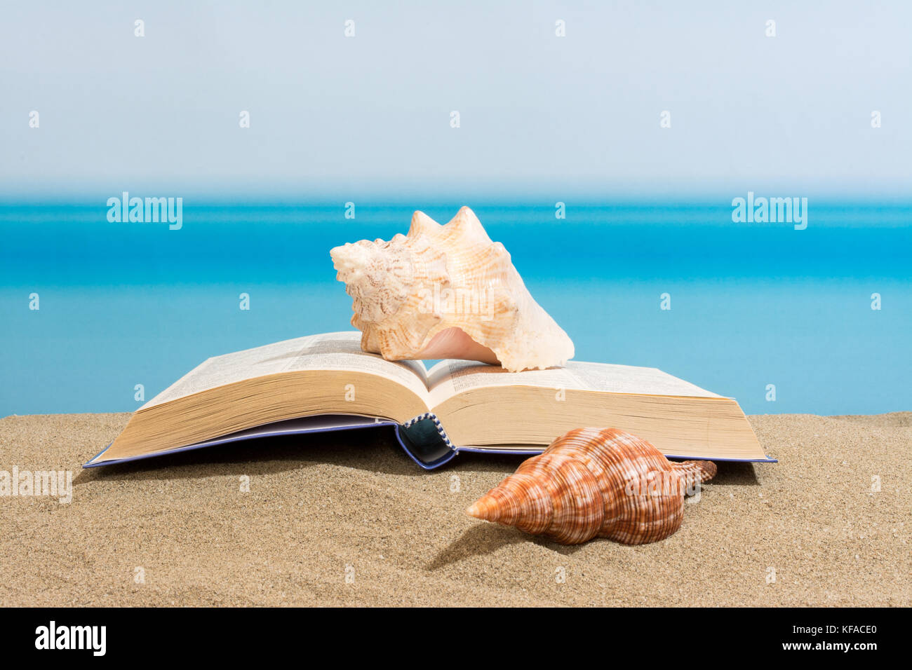 Story book shell hi-res stock photography and images - Alamy