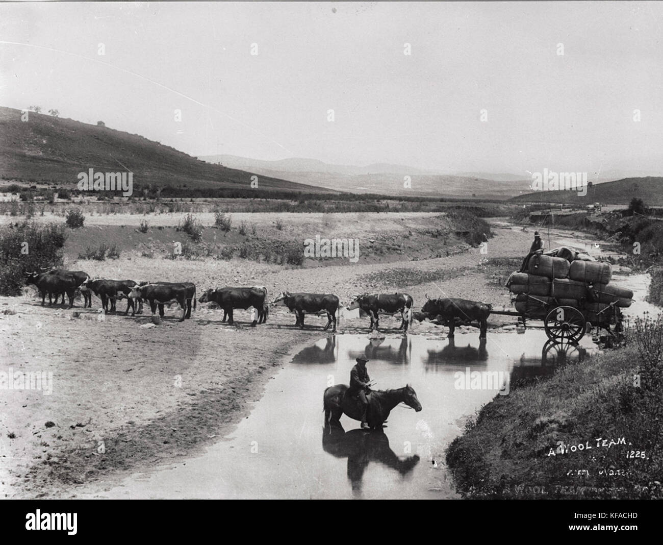 Wool handling hi-res stock photography and images - Alamy