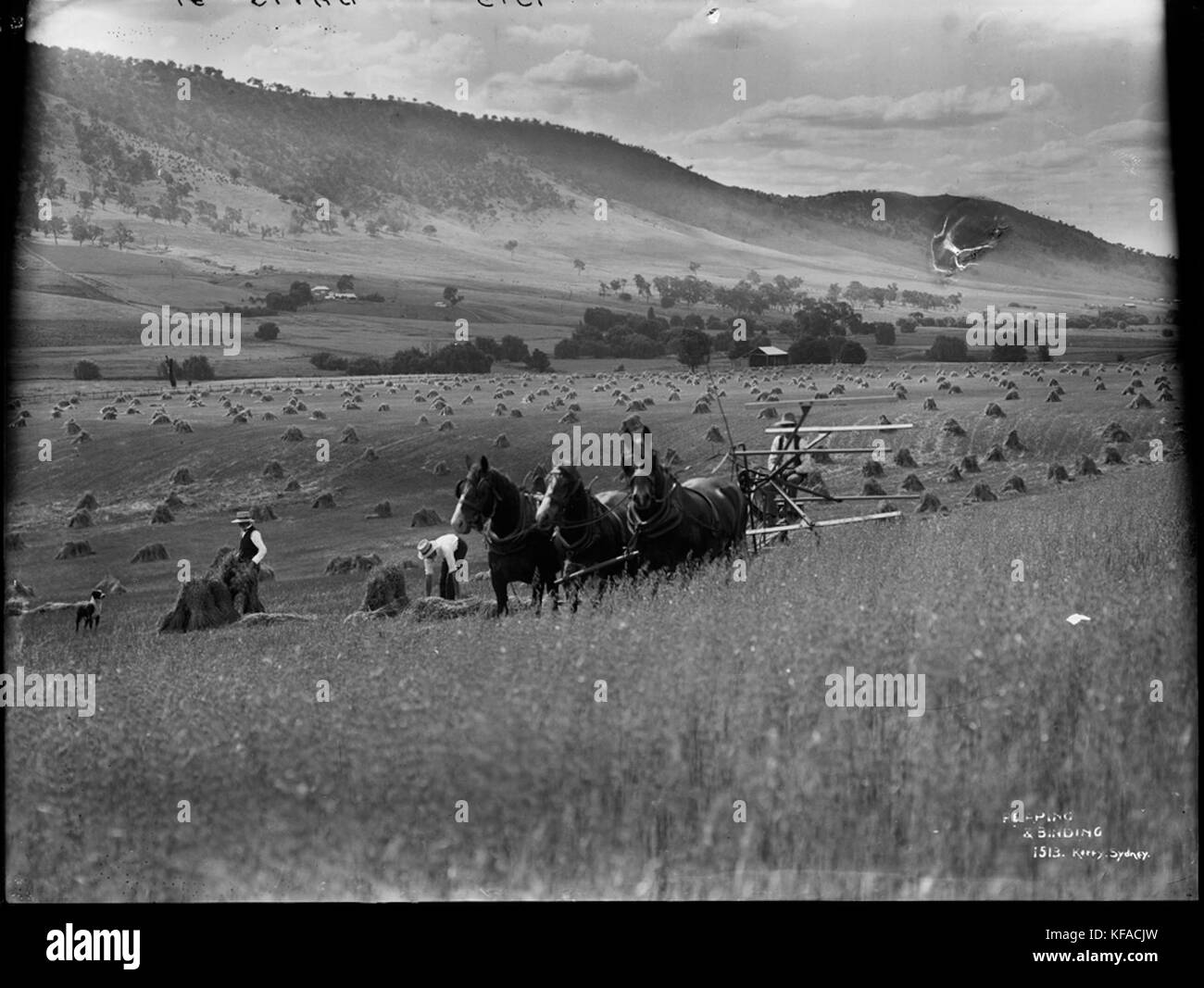 Intensive techniques Black and White Stock Photos & Images - Alamy