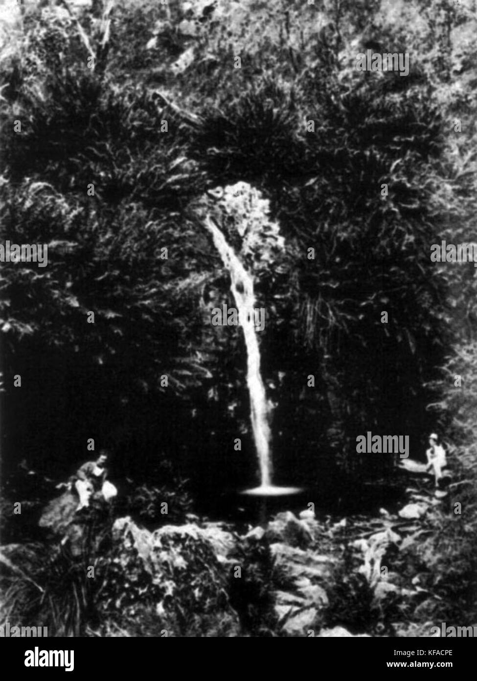 Second Falls, Waterfall Gully 1880 Stock Photo - Alamy