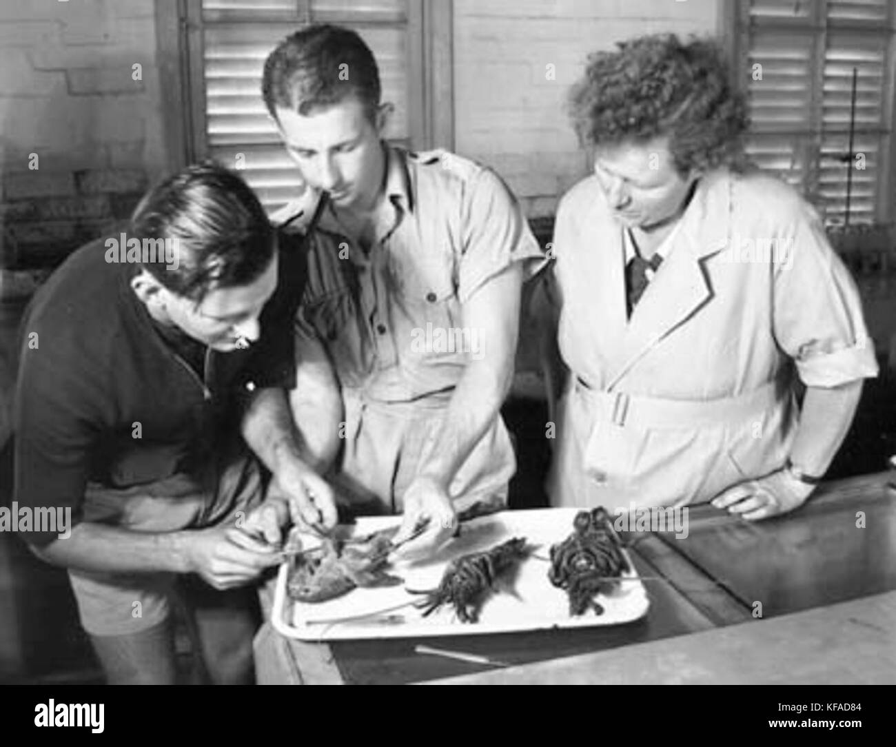 Examining a fish and crustaceans at the Cronulla Fisheries Research ...