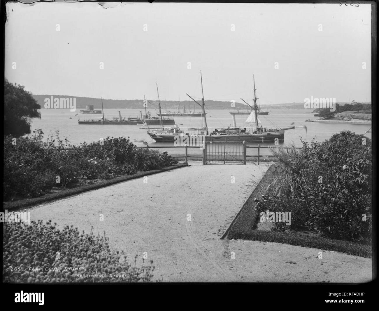 Farm Cove Sydney (4903285773 Stock Photo - Alamy
