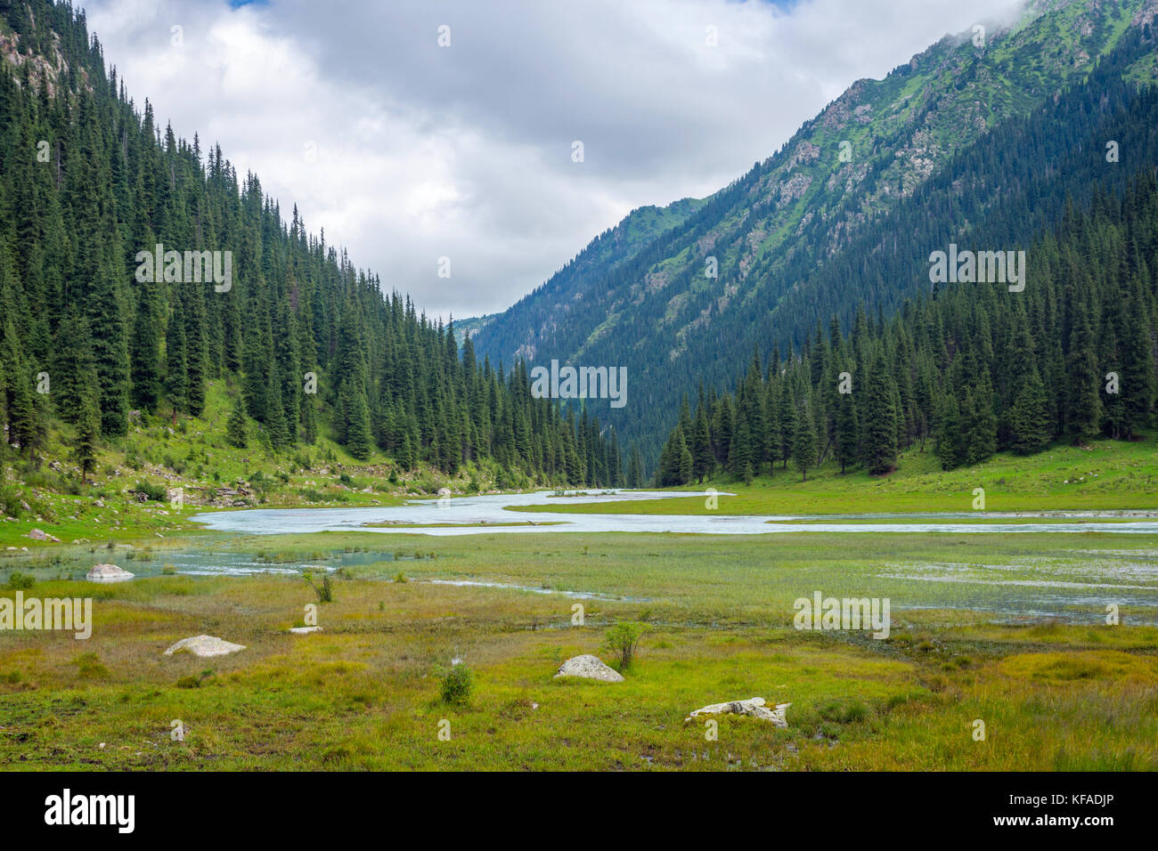 Stunning landscape of forest and river in Karakol national park ...