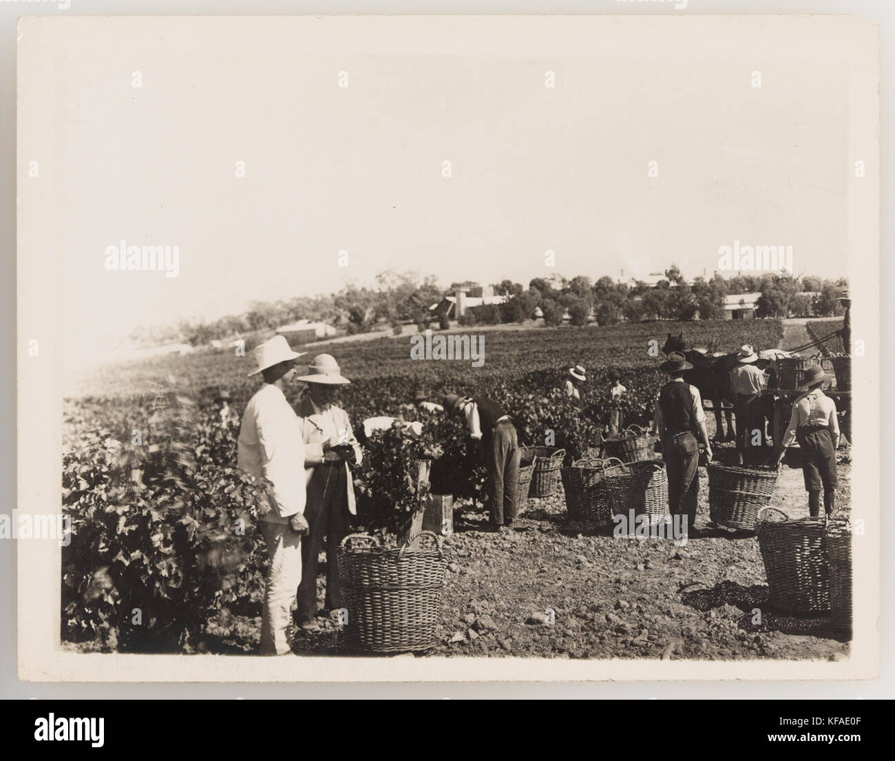 1920s food processing hi-res stock photography and images - Alamy