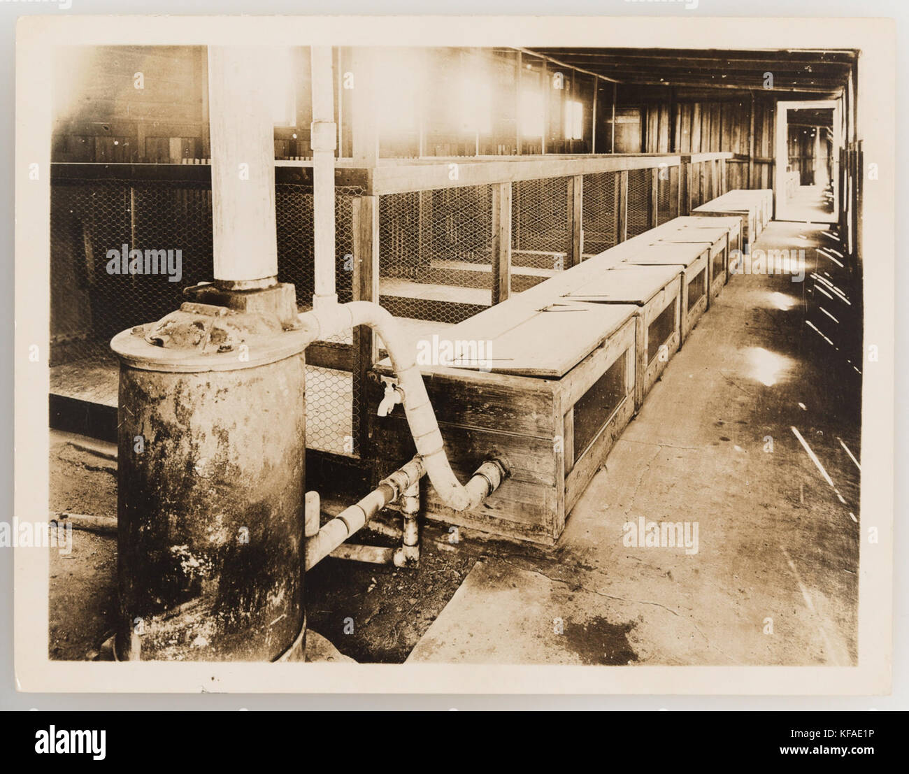 1920s poultry industry hi-res stock photography and images - Alamy