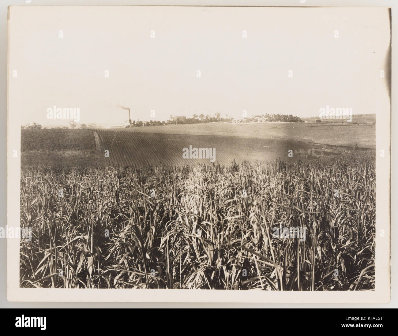 1922 series hi-res stock photography and images - Alamy