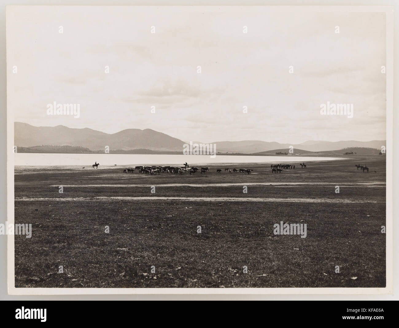 A series of rural and bushland scenes from around 1921, depicting the ...