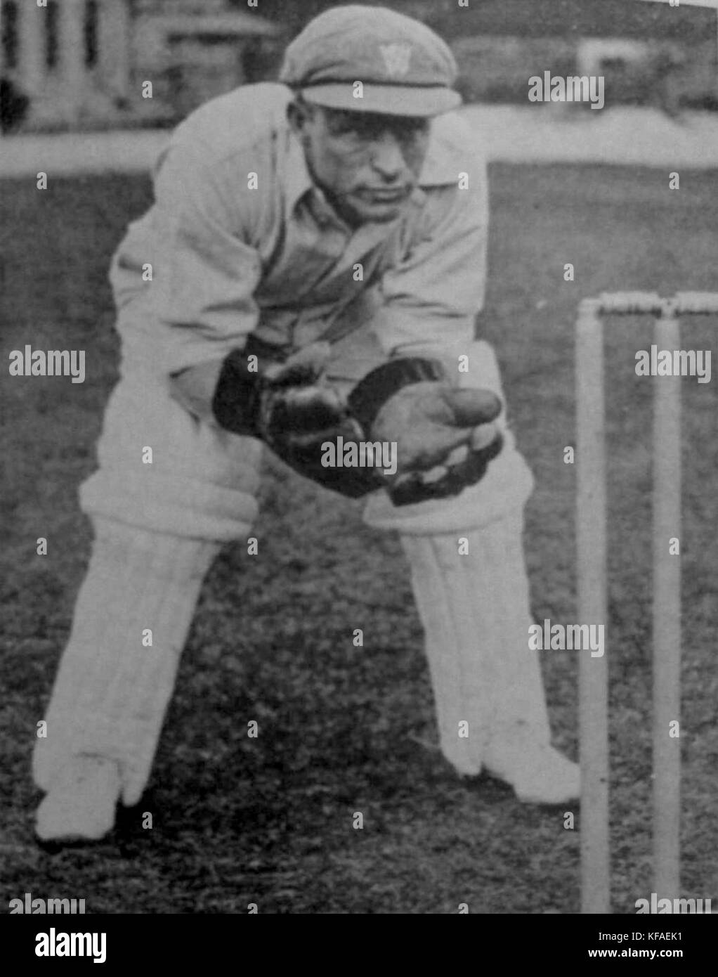 Wicketkeeper australia hi-res stock photography and images - Alamy