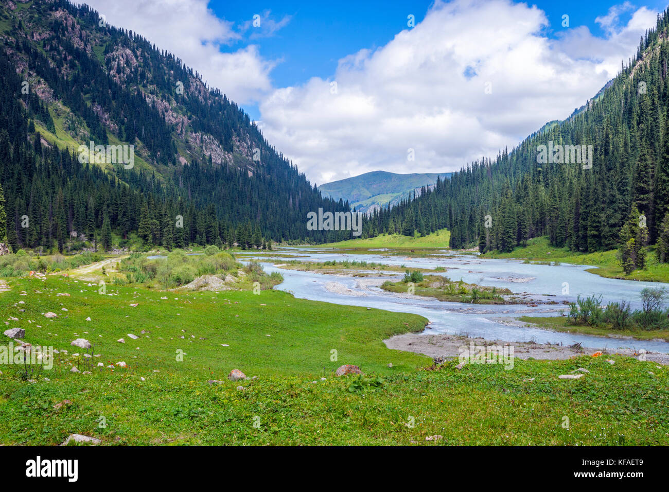 Stunning landscape of forest and river in Karakol national park ...