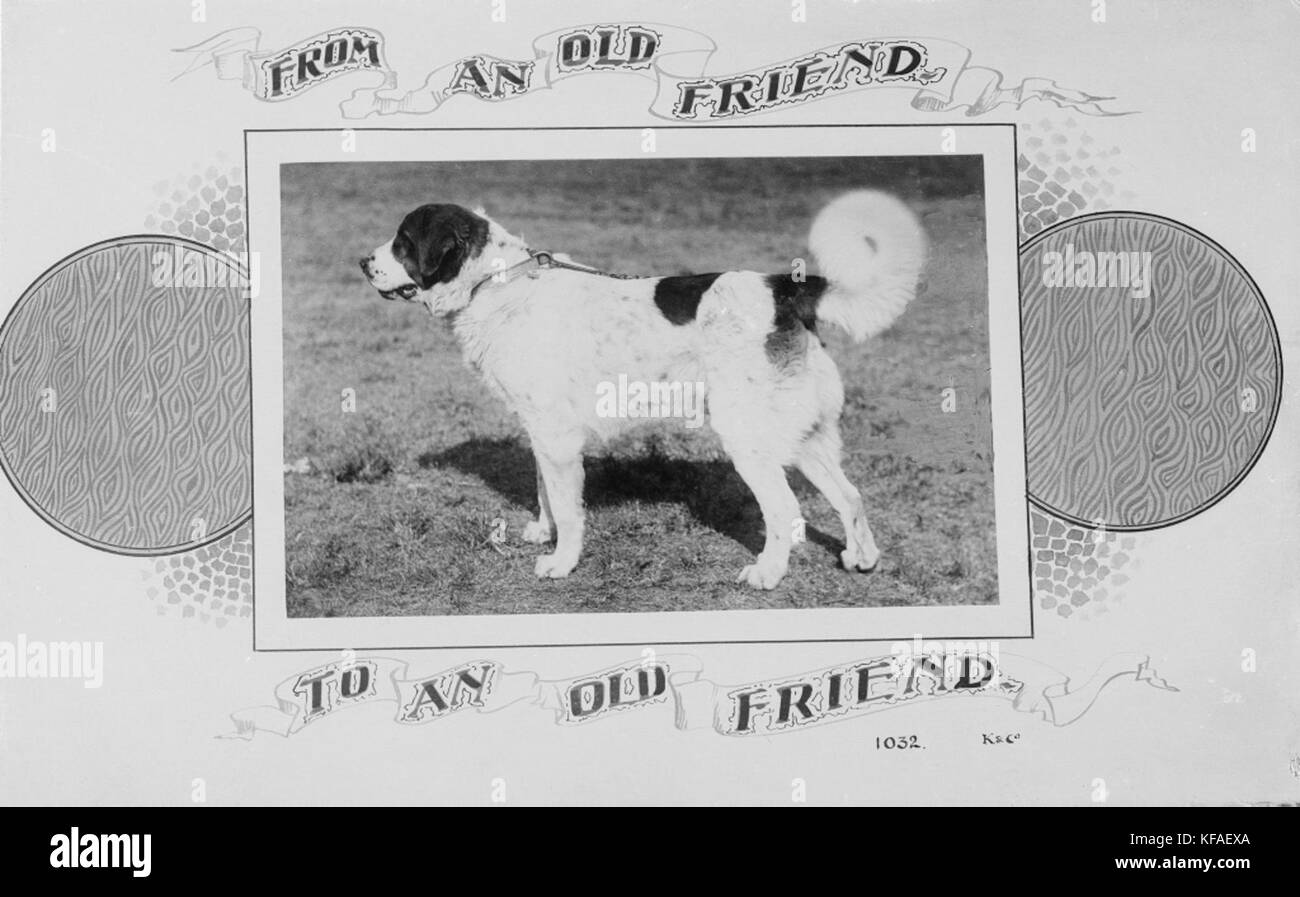 From An Old Friend To An Old Friend (8029077964 Stock Photo - Alamy