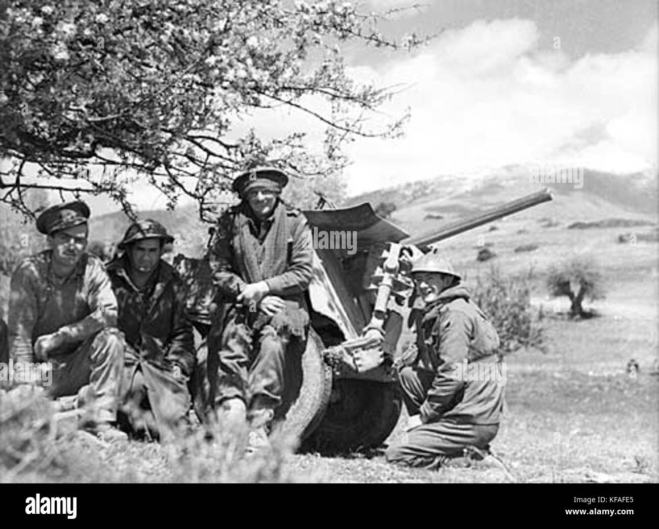 AWM 007647 vevi Stock Photo - Alamy