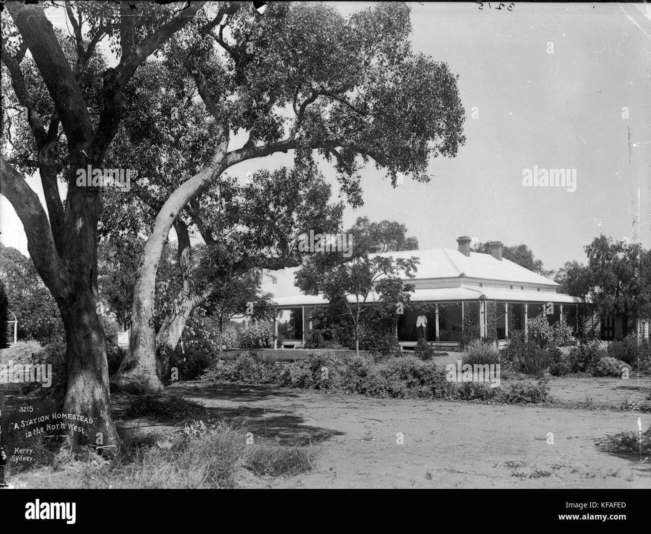 A station homestead in the North West (2925120921 Stock Photo - Alamy