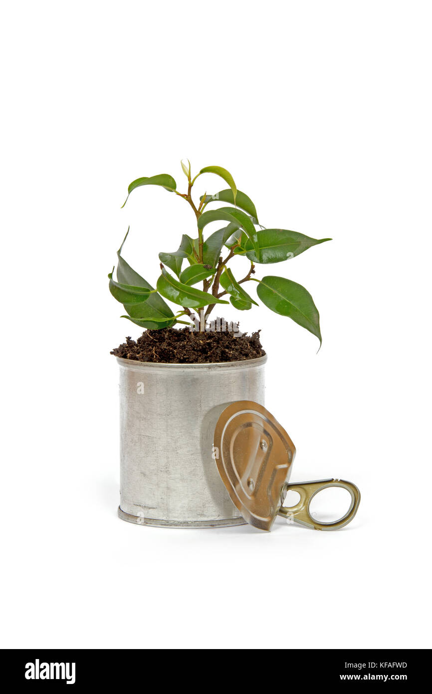 Aluminium recycling plant hi-res stock photography and images - Alamy