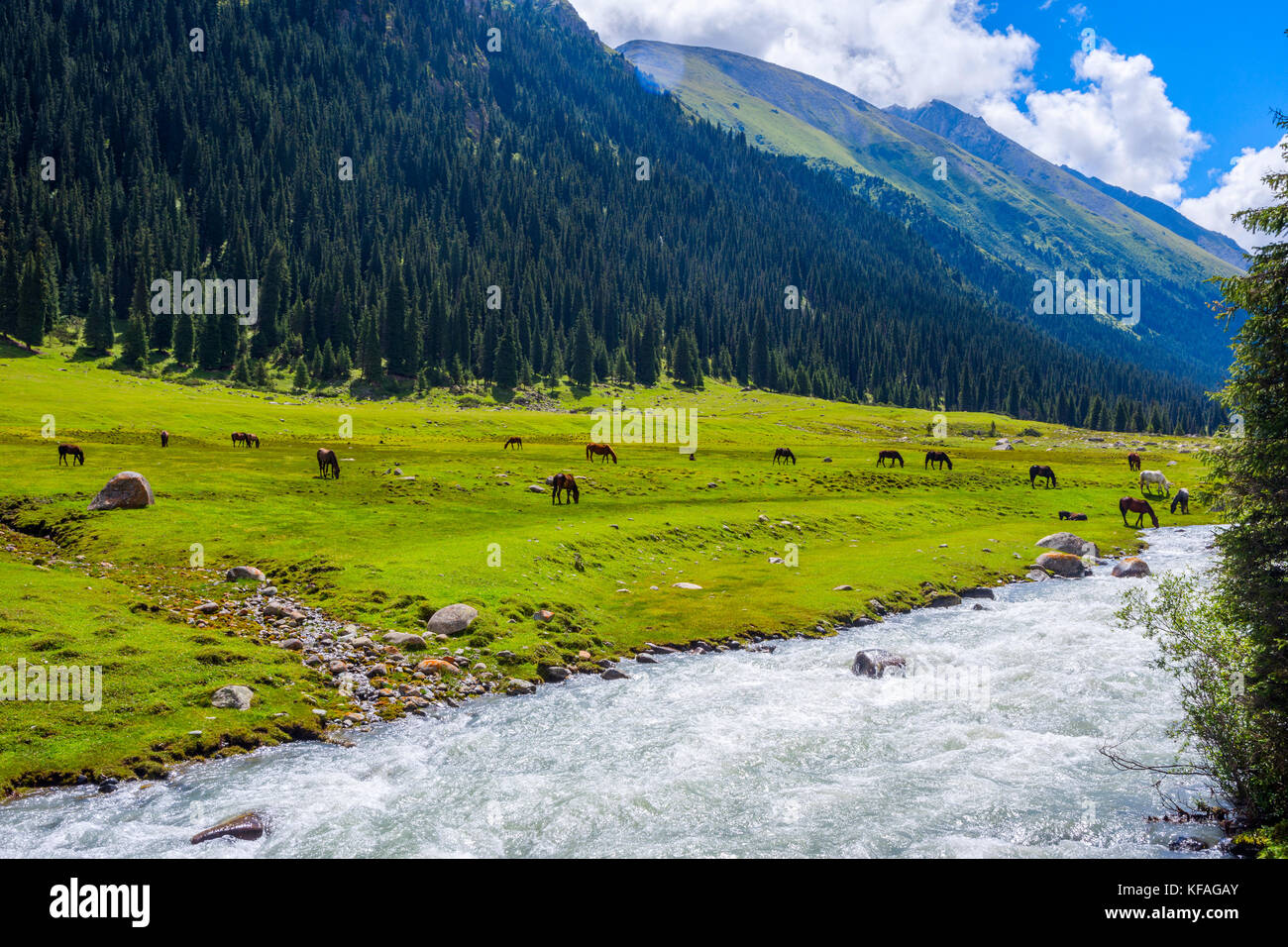 Arashan river hi-res stock photography and images - Alamy