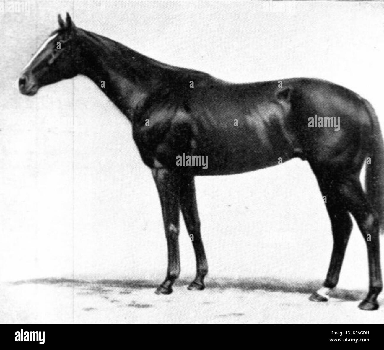 The gloaming Black and White Stock Photos & Images - Alamy