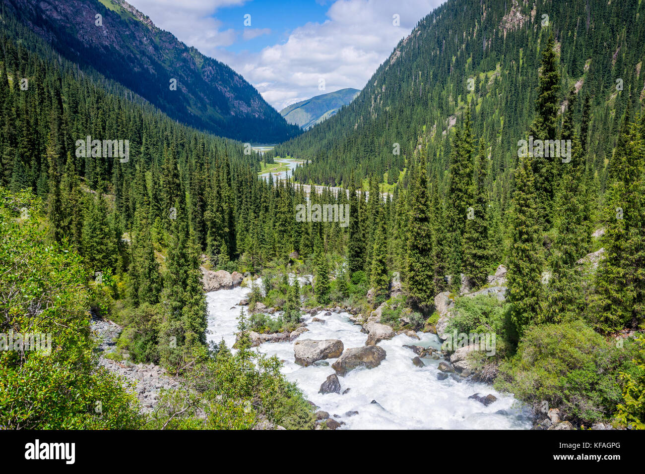 Stunning landscape of forest and river in Karakol national park ...