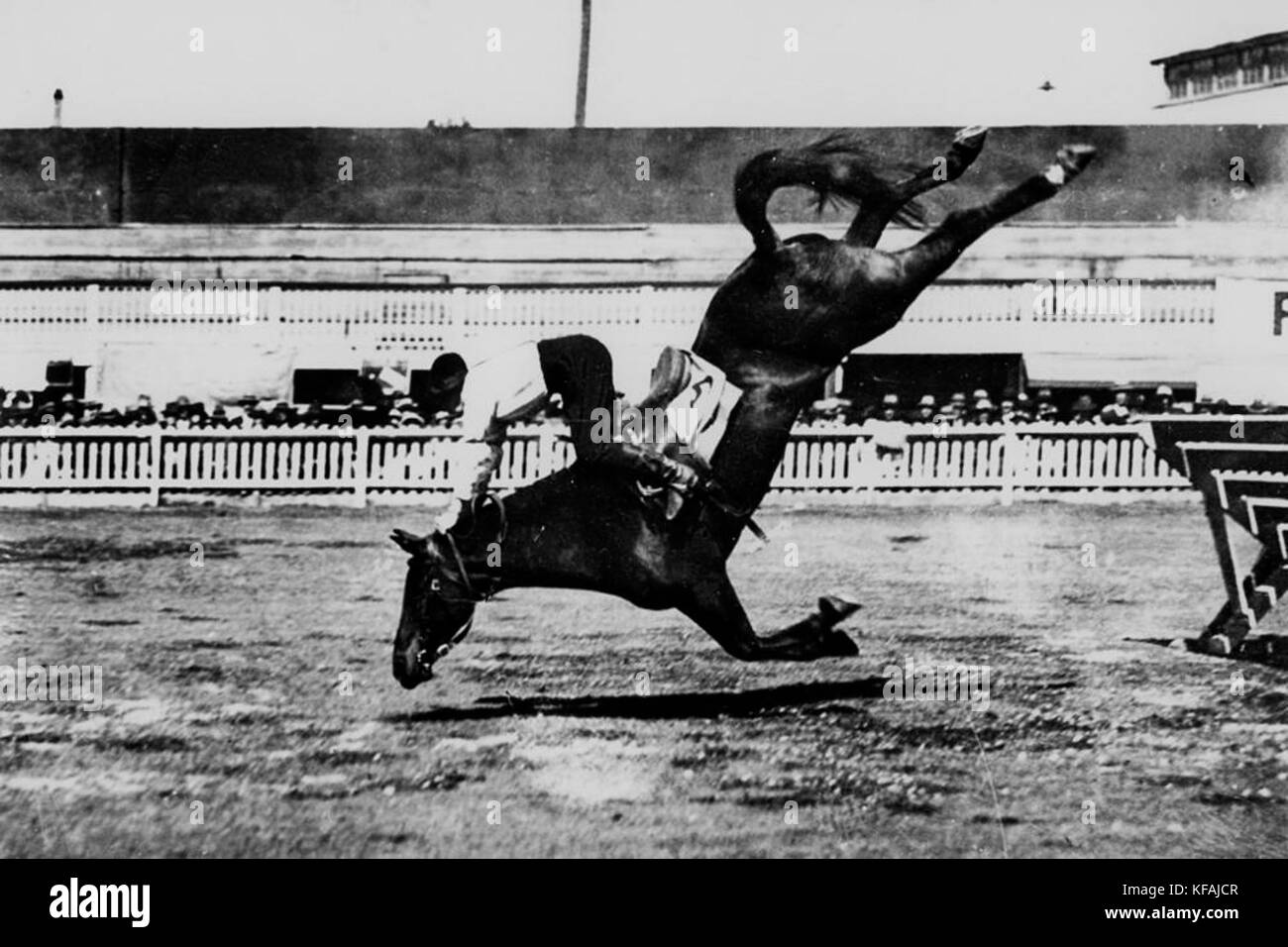 Horse jump fall hi-res stock photography and images - Alamy