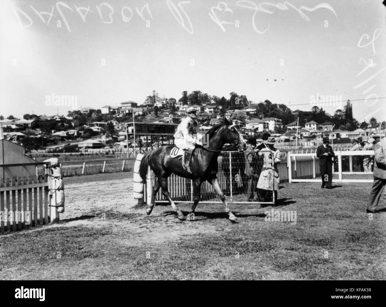 1 102800 Palabon coming back to scale at Albion Park, 1944 Stock Photo ...