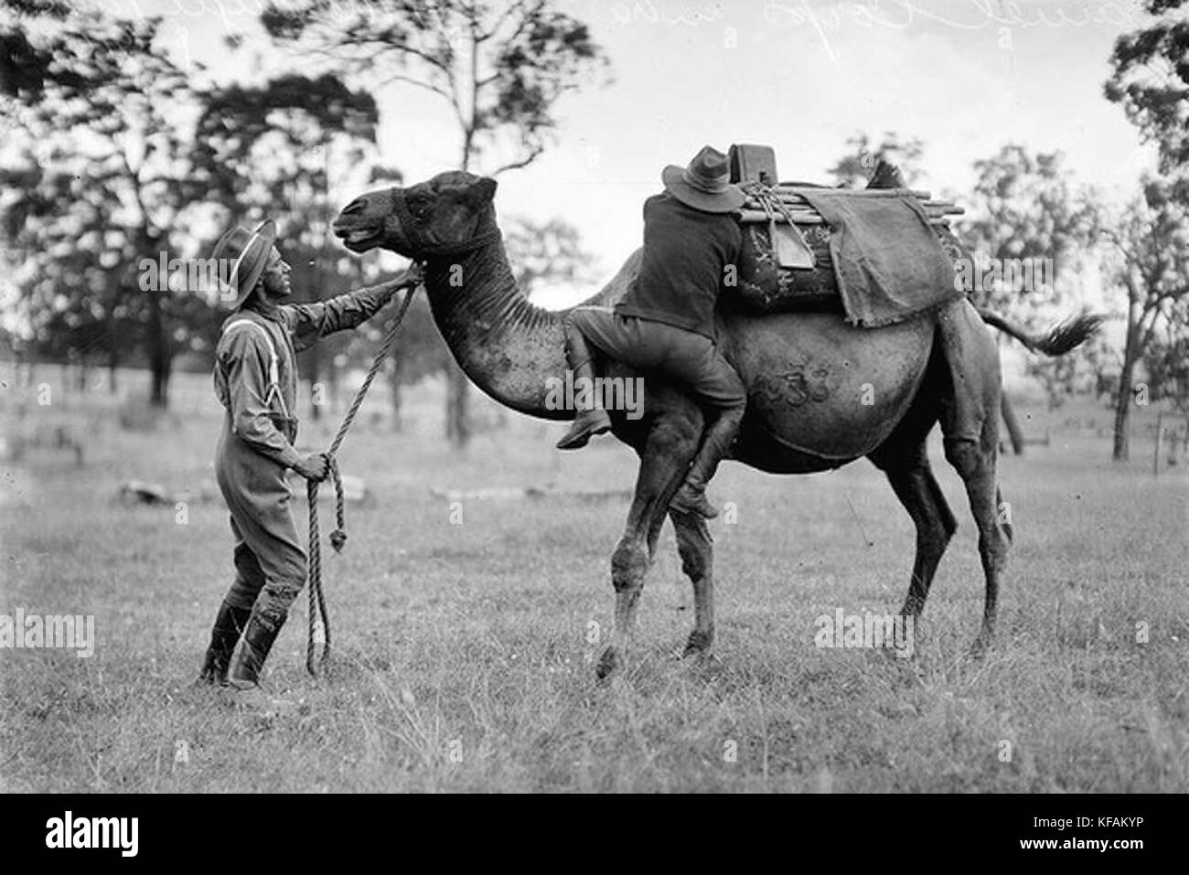 Camel corp hi-res stock photography and images - Alamy