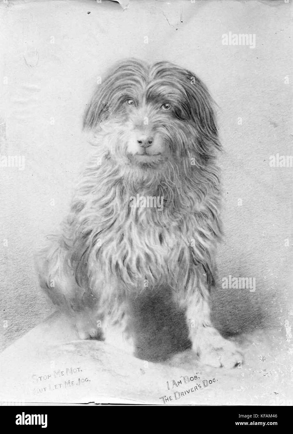 An image or historical reference related to the South Australian ...