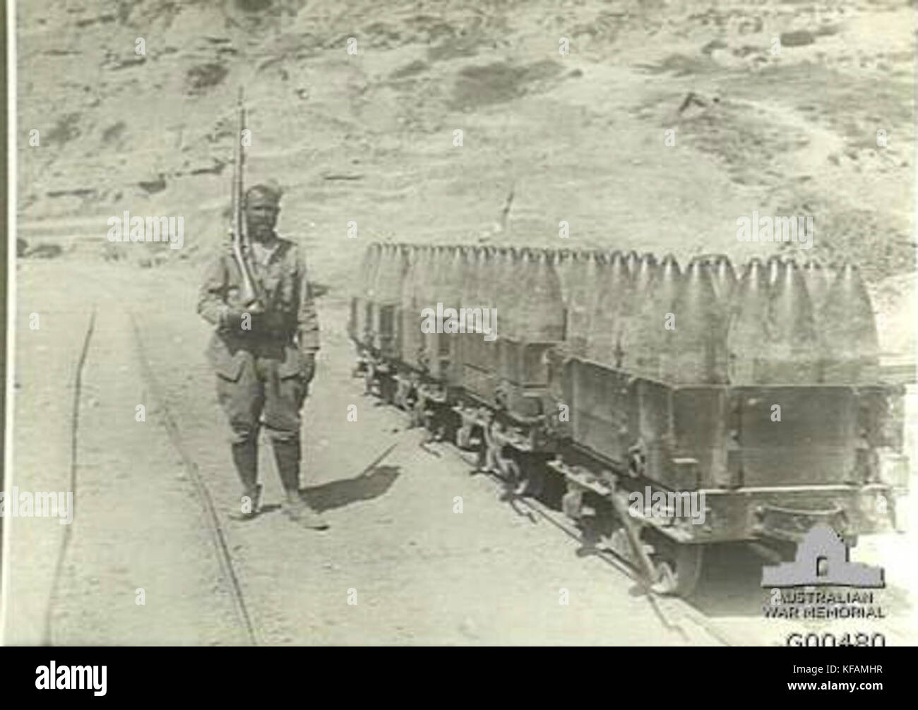 9 2 inch shells hi-res stock photography and images - Alamy