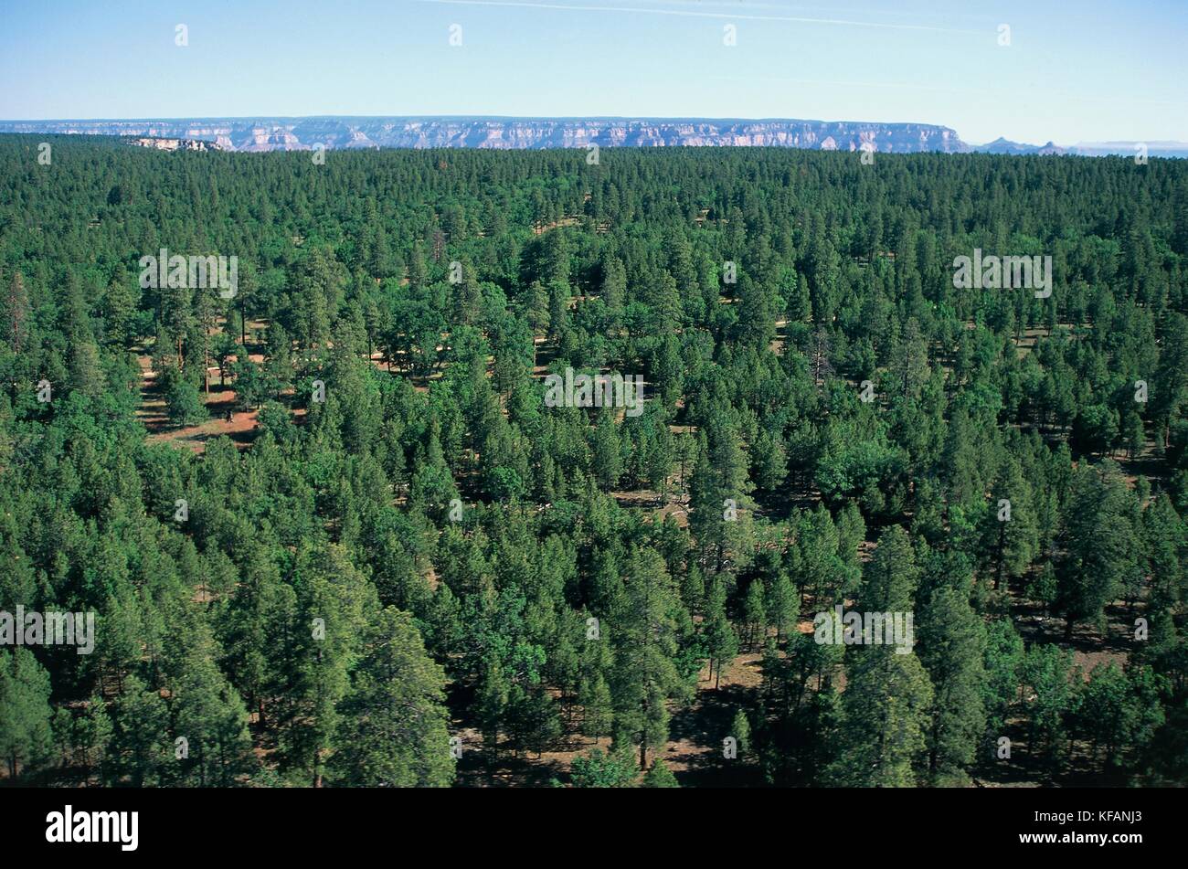 UNITED STATES OF AMERICA ARIZONA Coconino Plateau Colorado Plateau ...