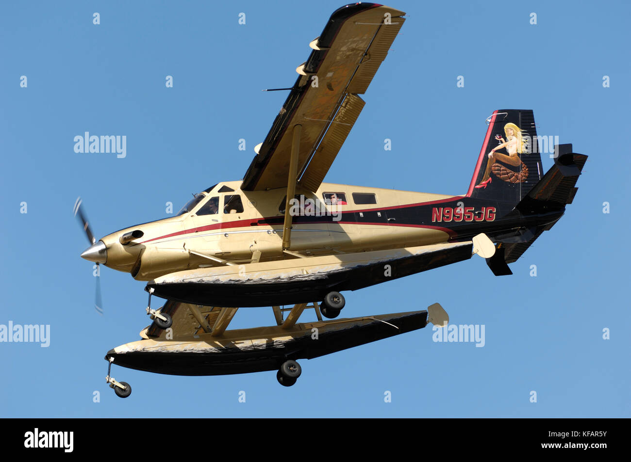 DHC-2 Turbo Beaver floatplane and special-livery tail-fin artwork on ...