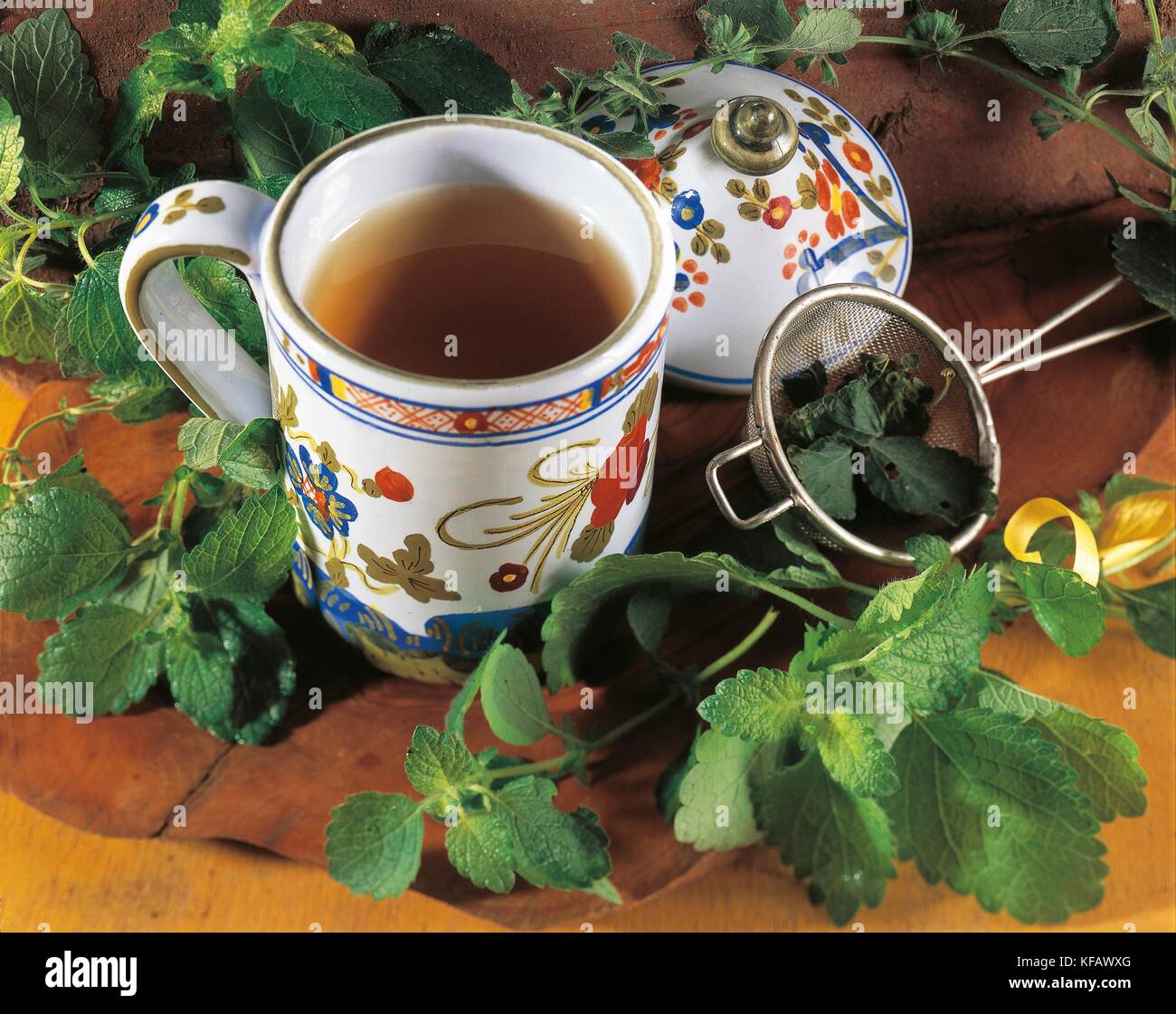 Lemon balm melissa officinalis common hi-res stock photography and ...