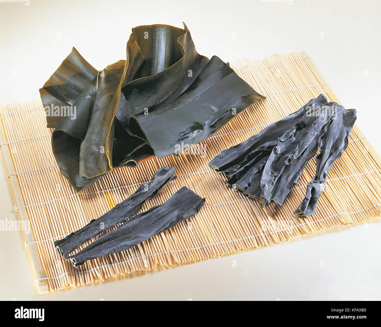 Protista algae hi-res stock photography and images - Alamy