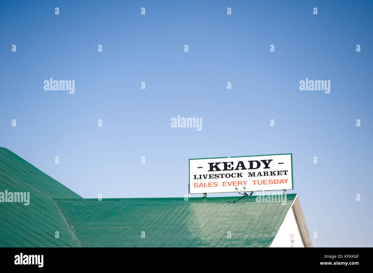 Keady Livestock Market in Ontario, Canada Stock Photo - Alamy