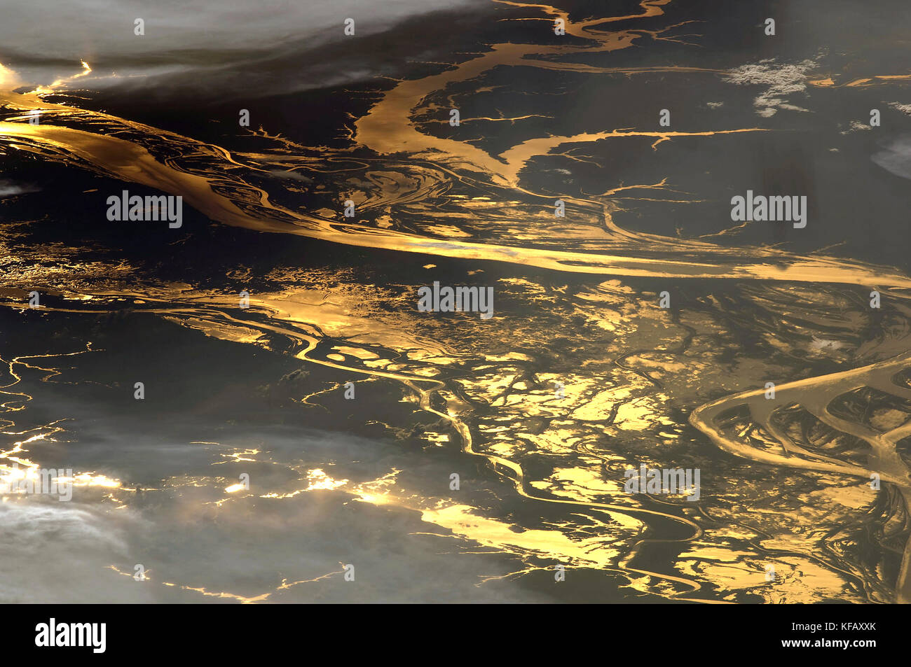 Amazon River The setting sun glints off the Amazon River and numerous ...