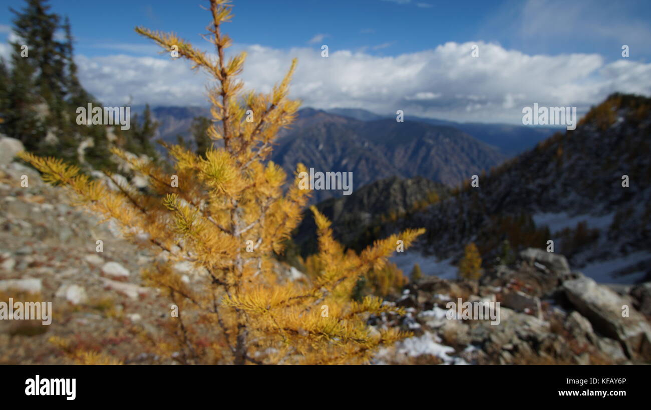 Exploring Washington State, The Great Pacific Northwest Stock Photo - Alamy