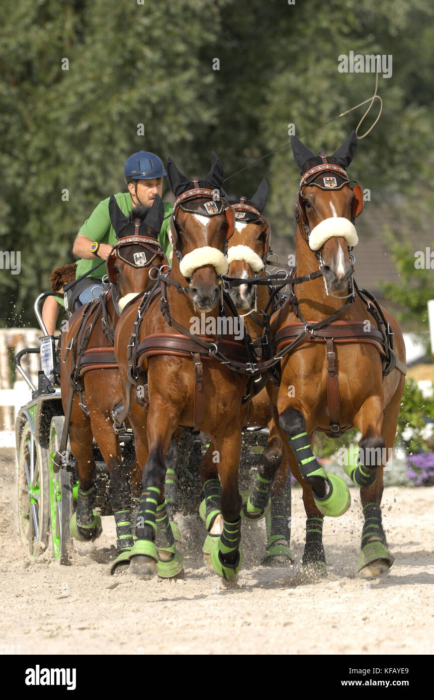 Christoph Sandmann (GER), , World Equestrian Games, Aachen, 31 August ...