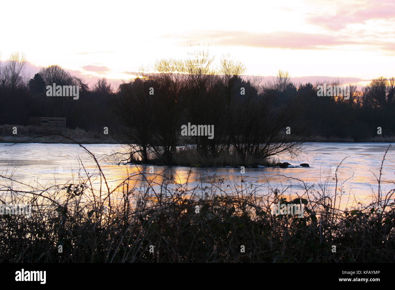 Bird hide on Lough Neagh Northern Ireland in winter Stock Photo - Alamy