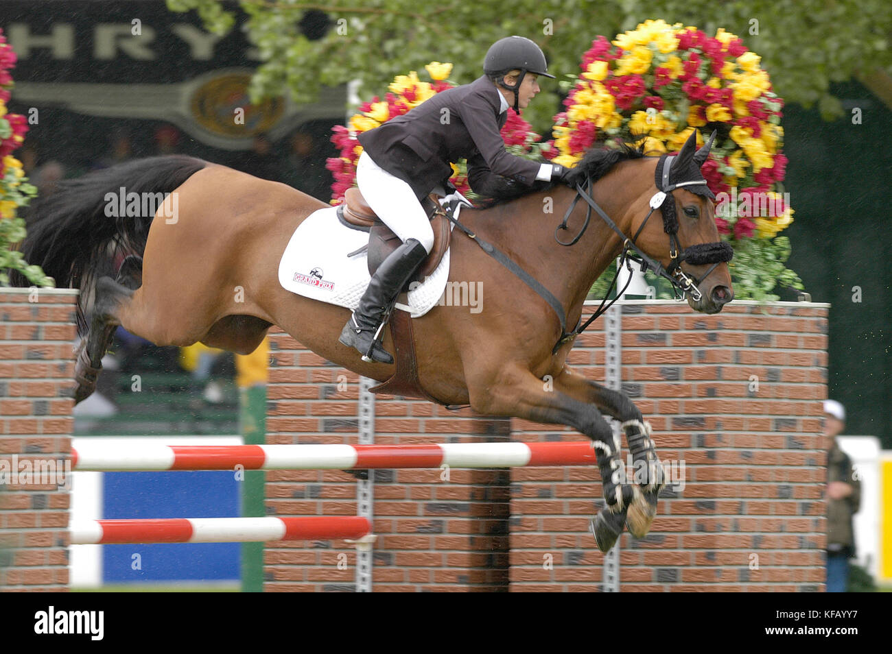 Bay oxer showjumping jump hi-res stock photography and images - Alamy